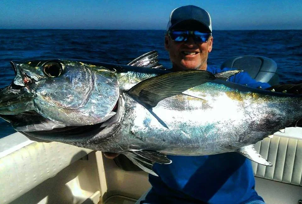 The Cobia are here!! — Seas The Day NC Fishing Charters