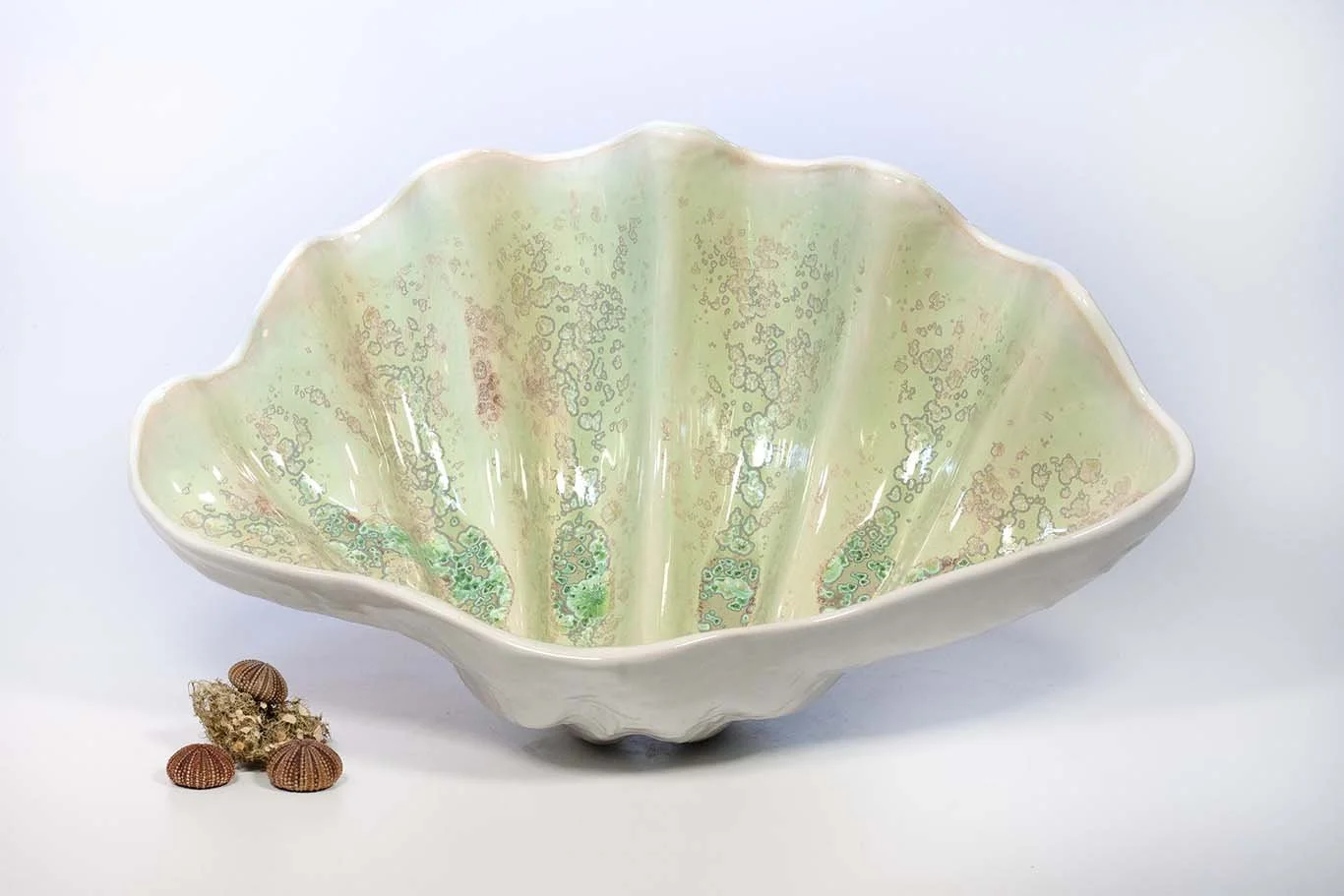 Sea Clam Bowl - Large — Ae Ceramics