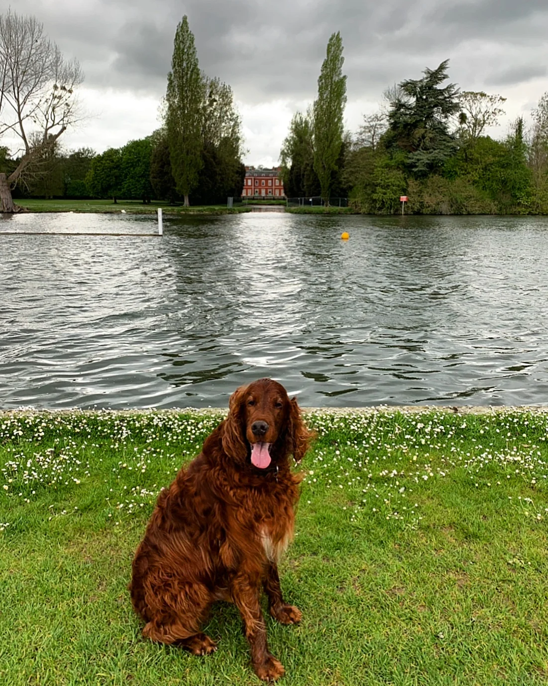 oxford pet — The Woof + Whistle Blog - Dog Walking & Sitting Advice