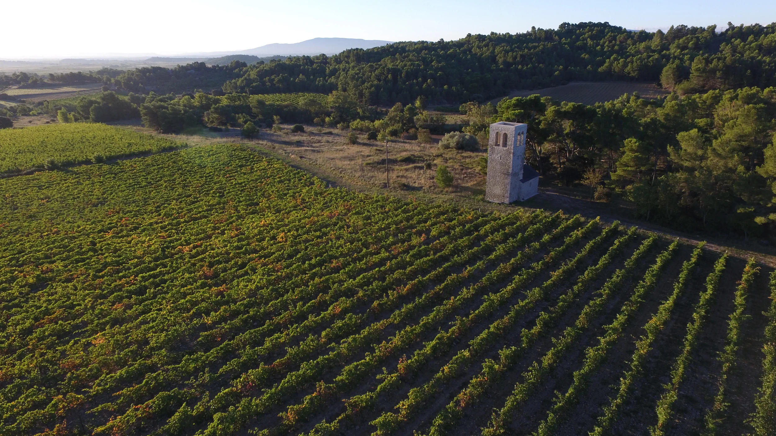 Chateau St. Jacques d'Albas - Great Minervois wines