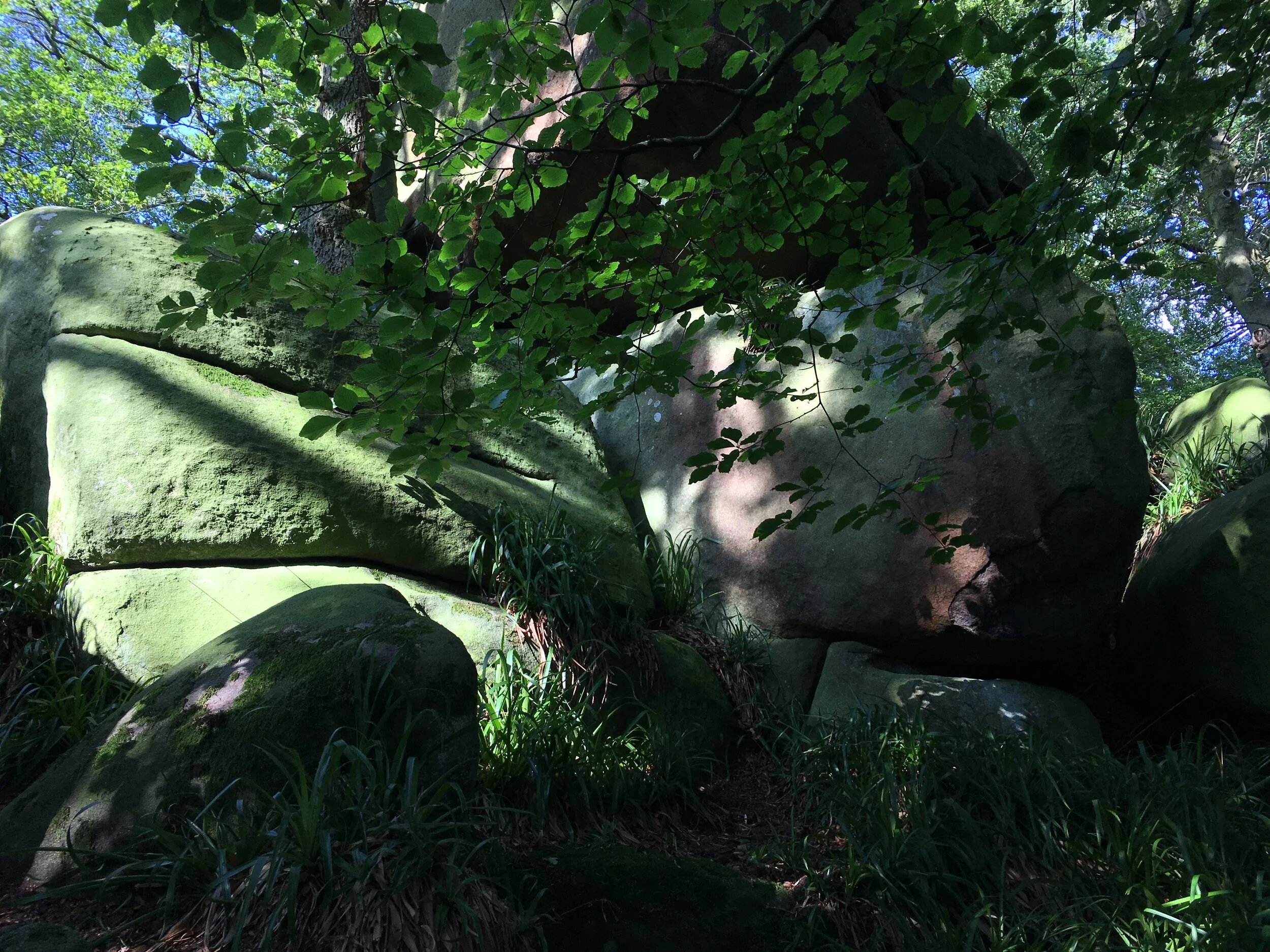 Ideas — Lee Milne Artist