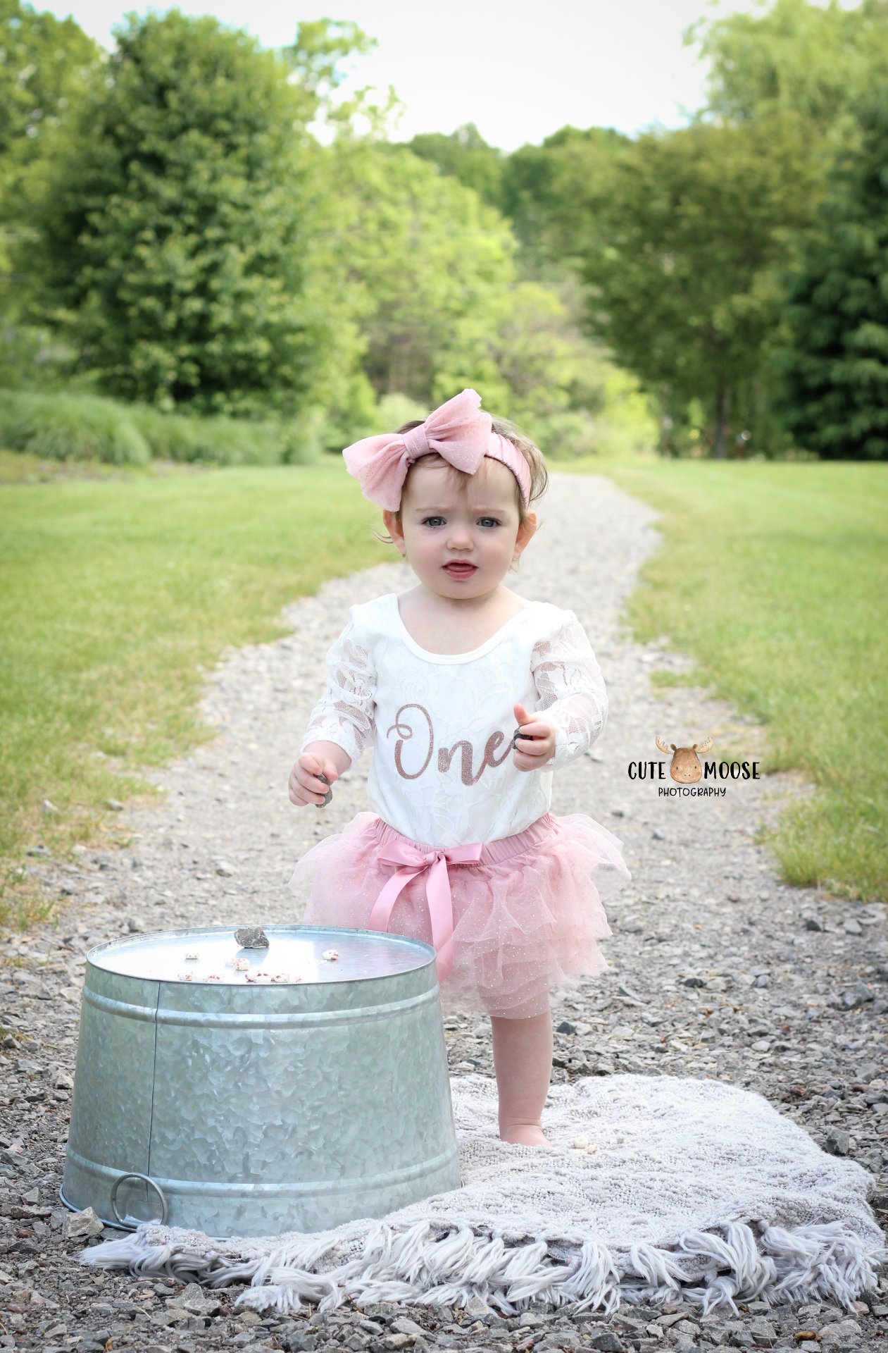 Blog — Cute Moose Photography