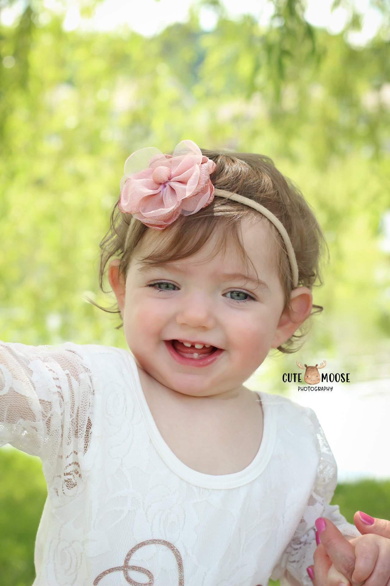 Blog — Cute Moose Photography