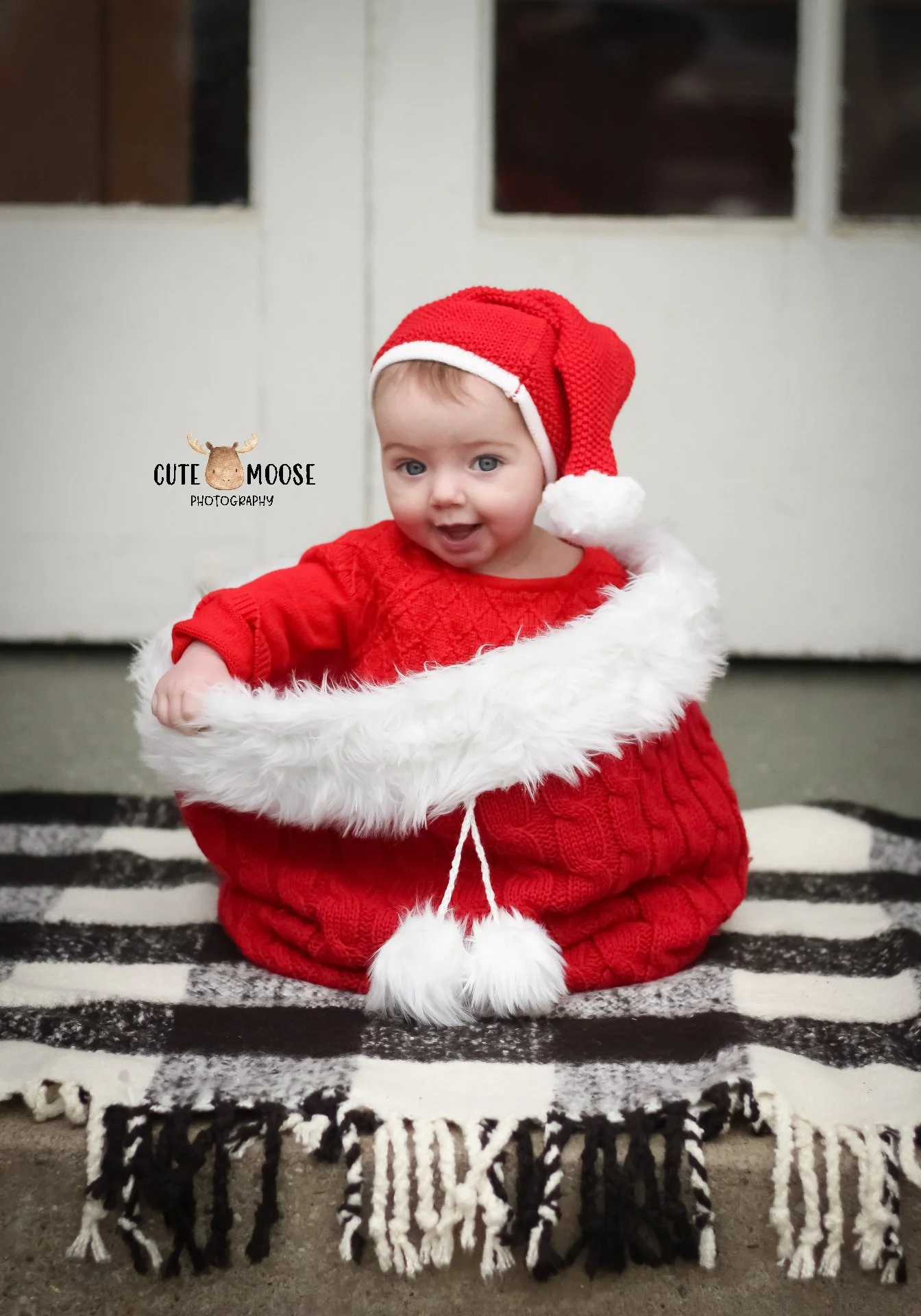 Session Locations — Cute Moose Photography