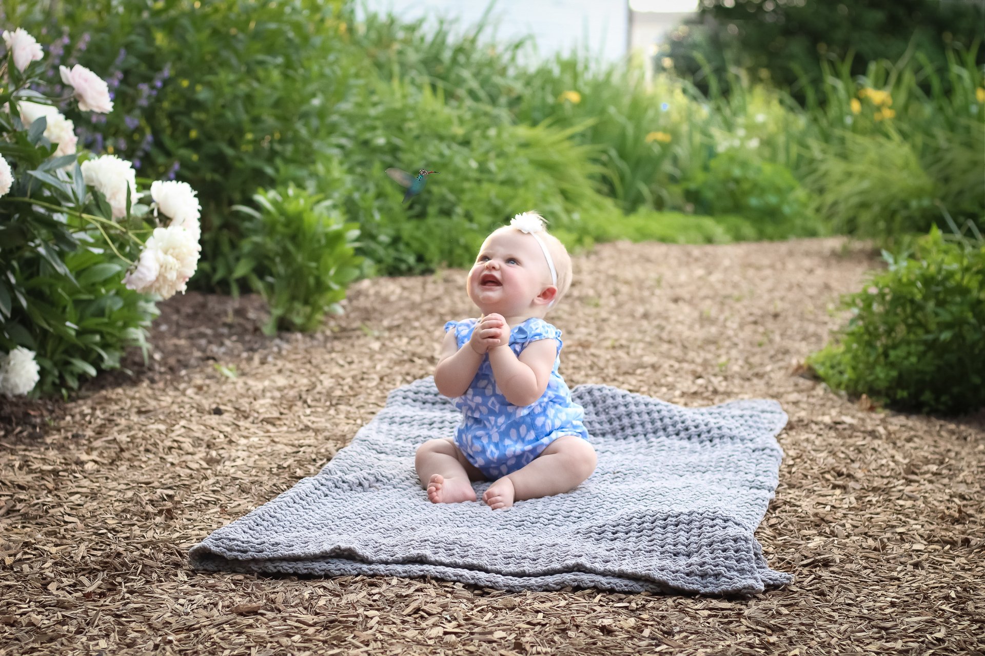 Session Locations — Cute Moose Photography