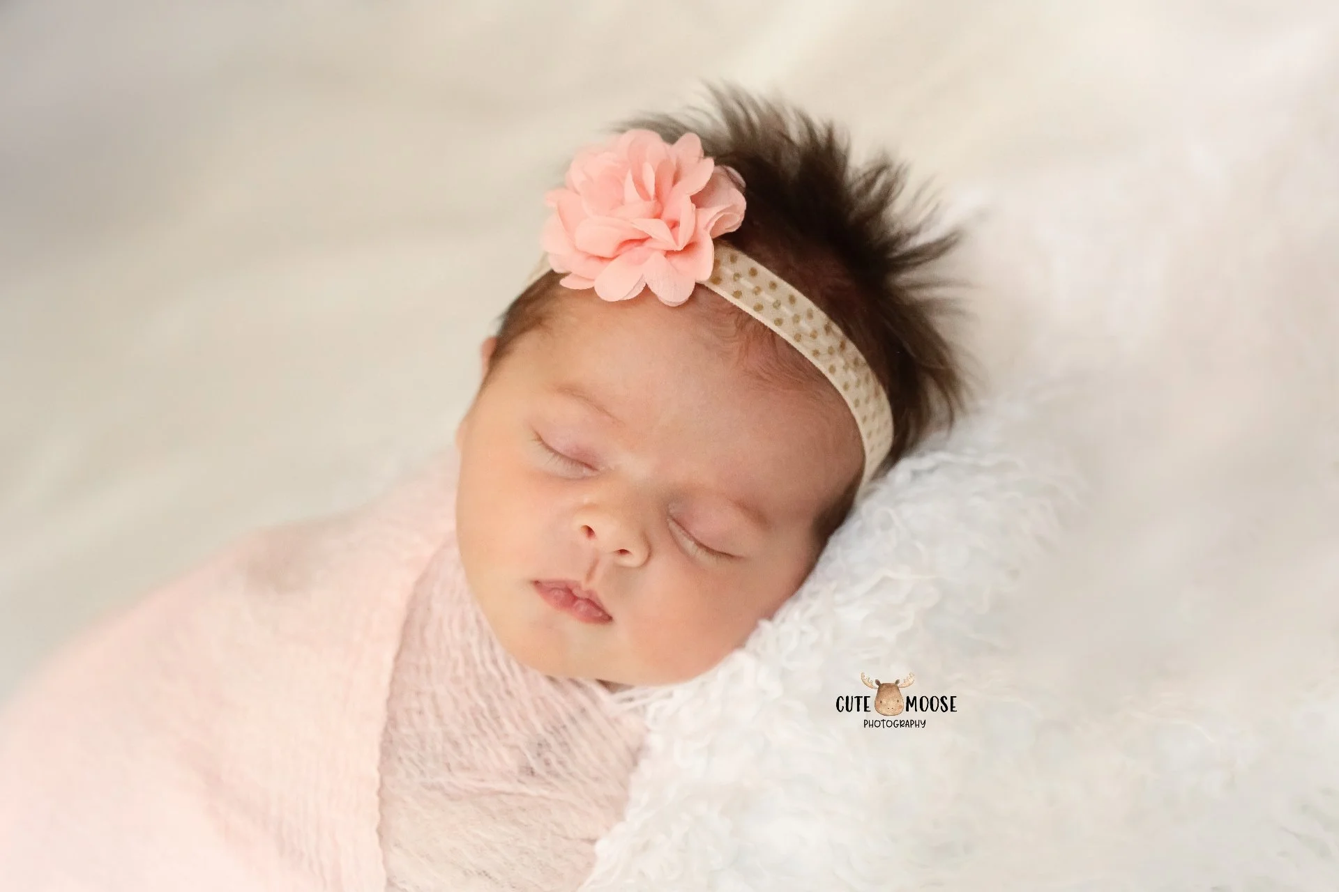 Pittsburgh Newborn Photographer — Cute Moose Photography