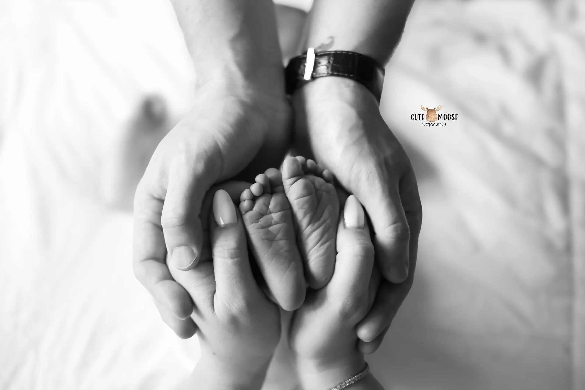 Pittsburgh Newborn Photographer — Cute Moose Photography