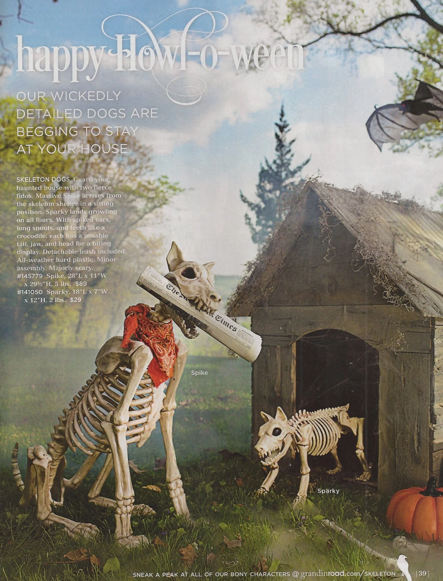 Wilson Art Works — Set Designs / Builds