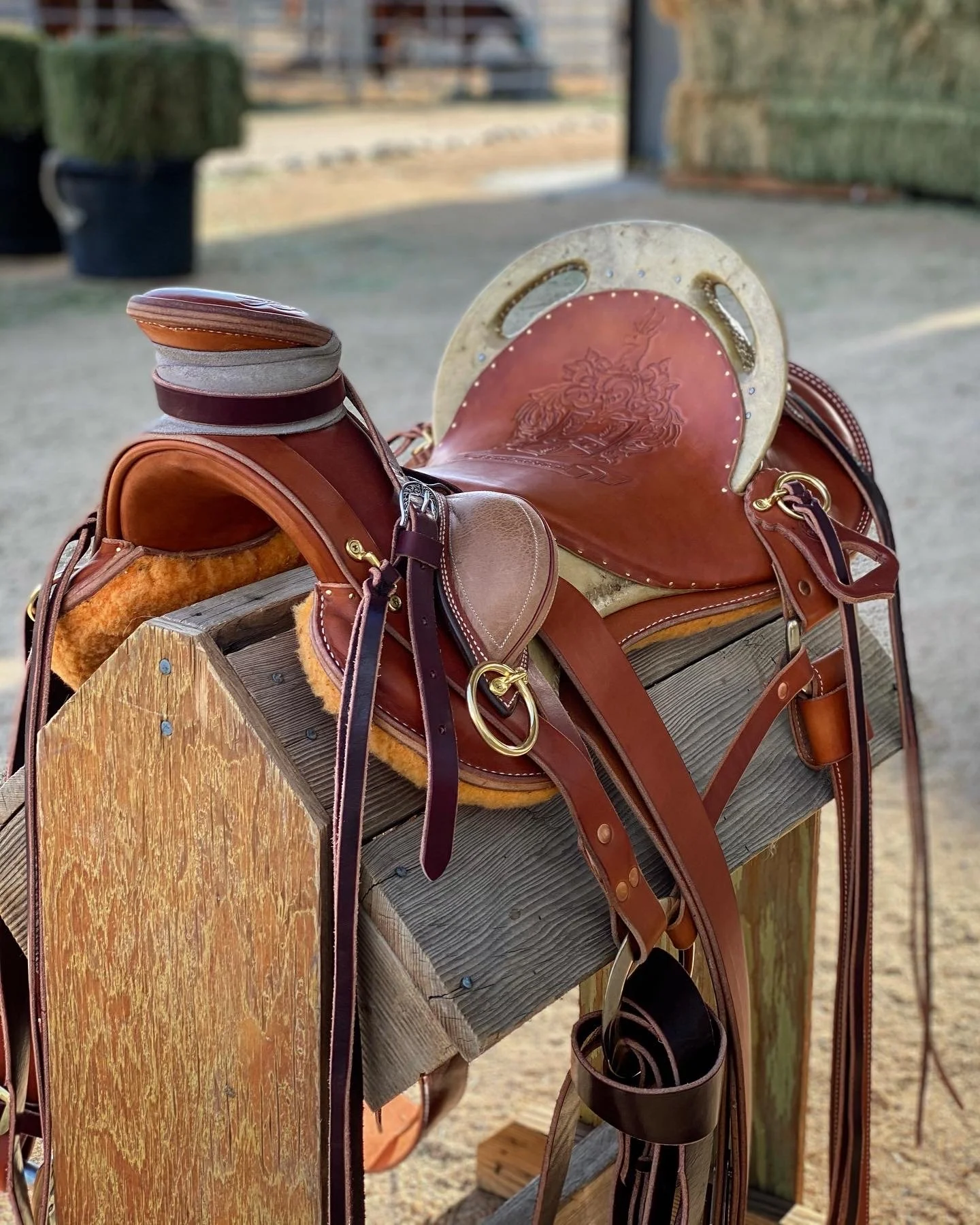 Pack Horse Saddle