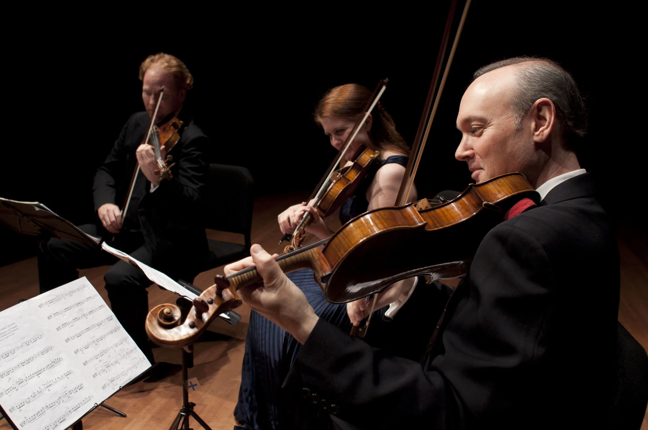 Paul Neubauer Viola | photos