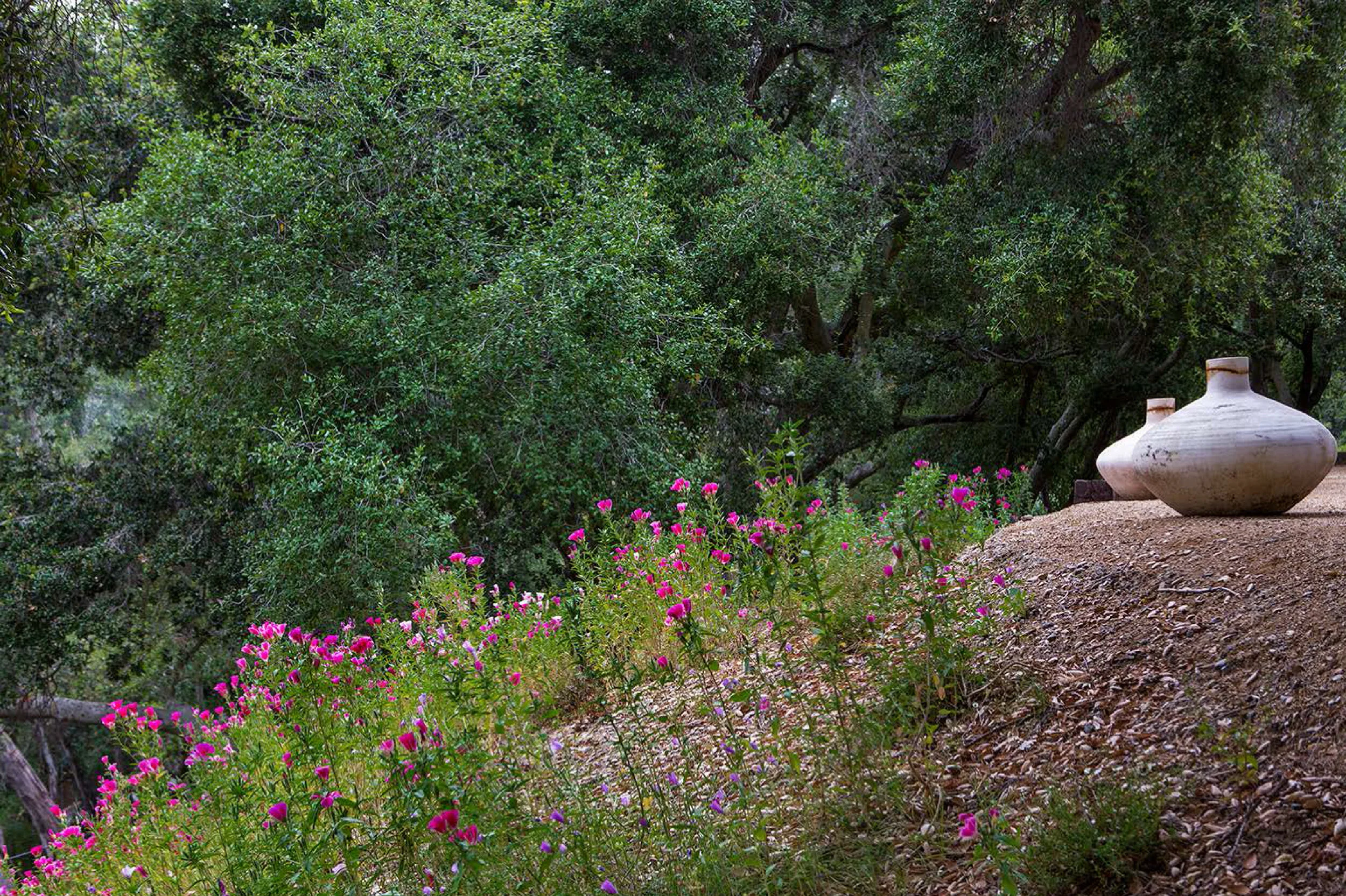 Sage Ranch — Campion Walker