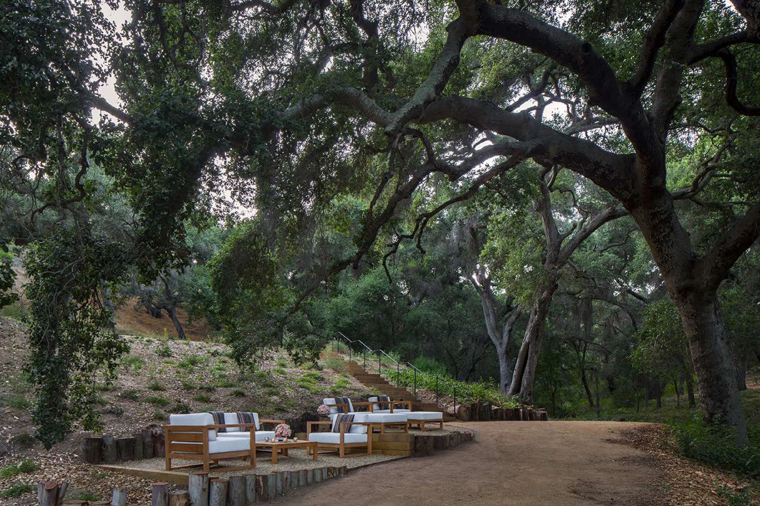 Sage Ranch — Campion Walker