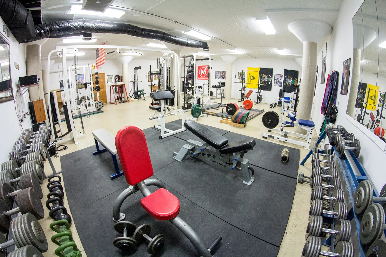 About — Massenomics