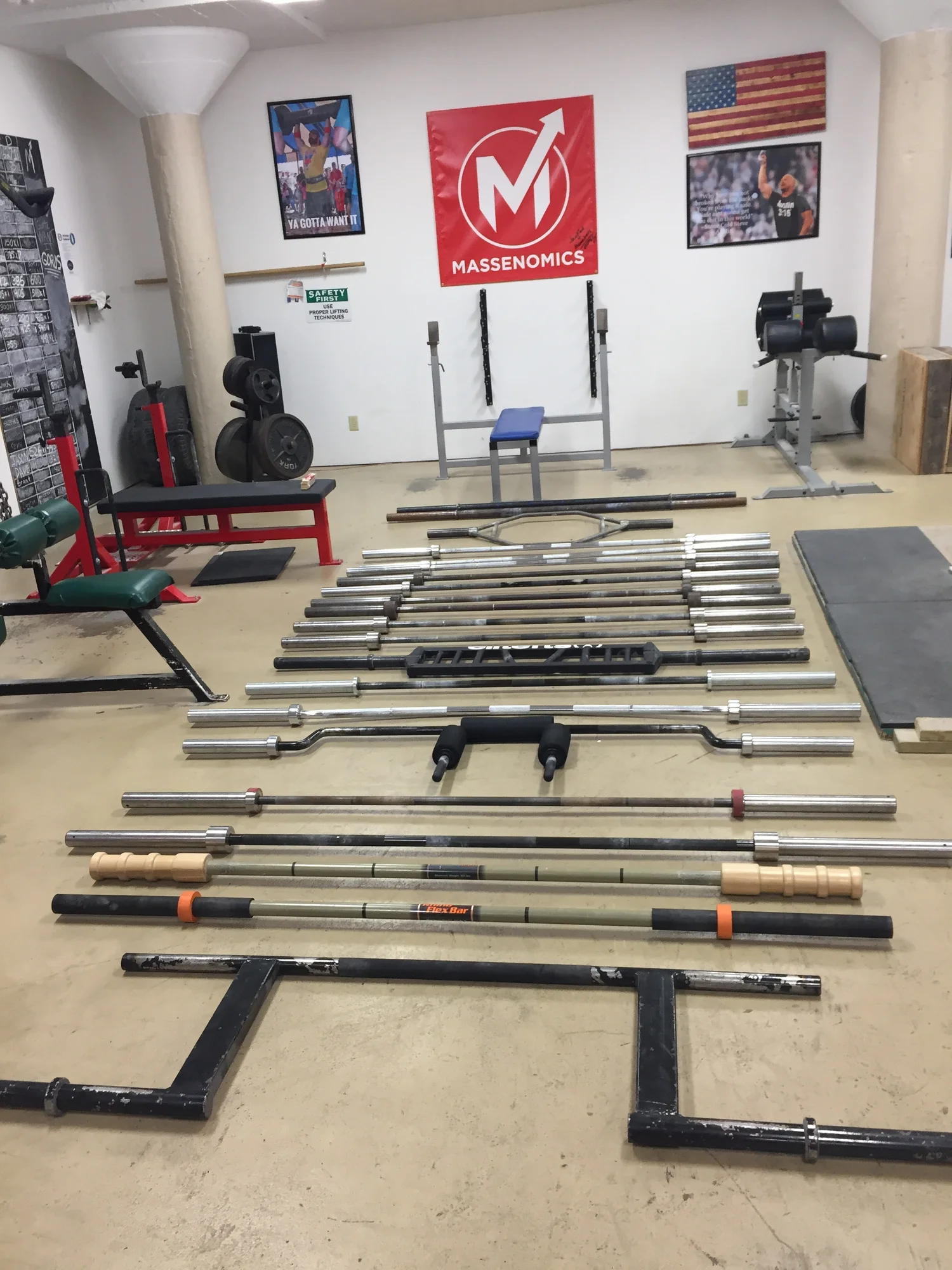 About — Massenomics