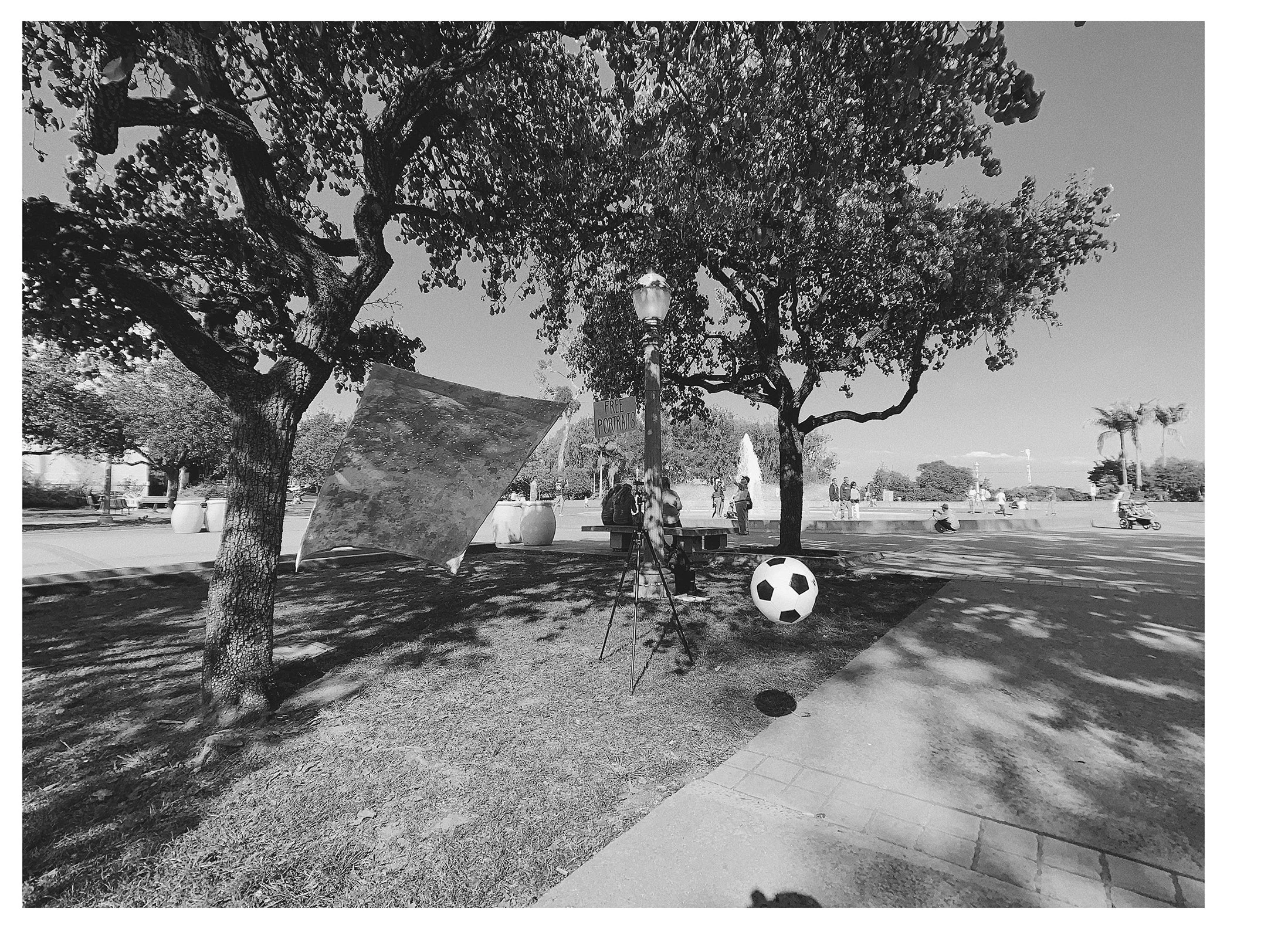 photos — dylan wilde