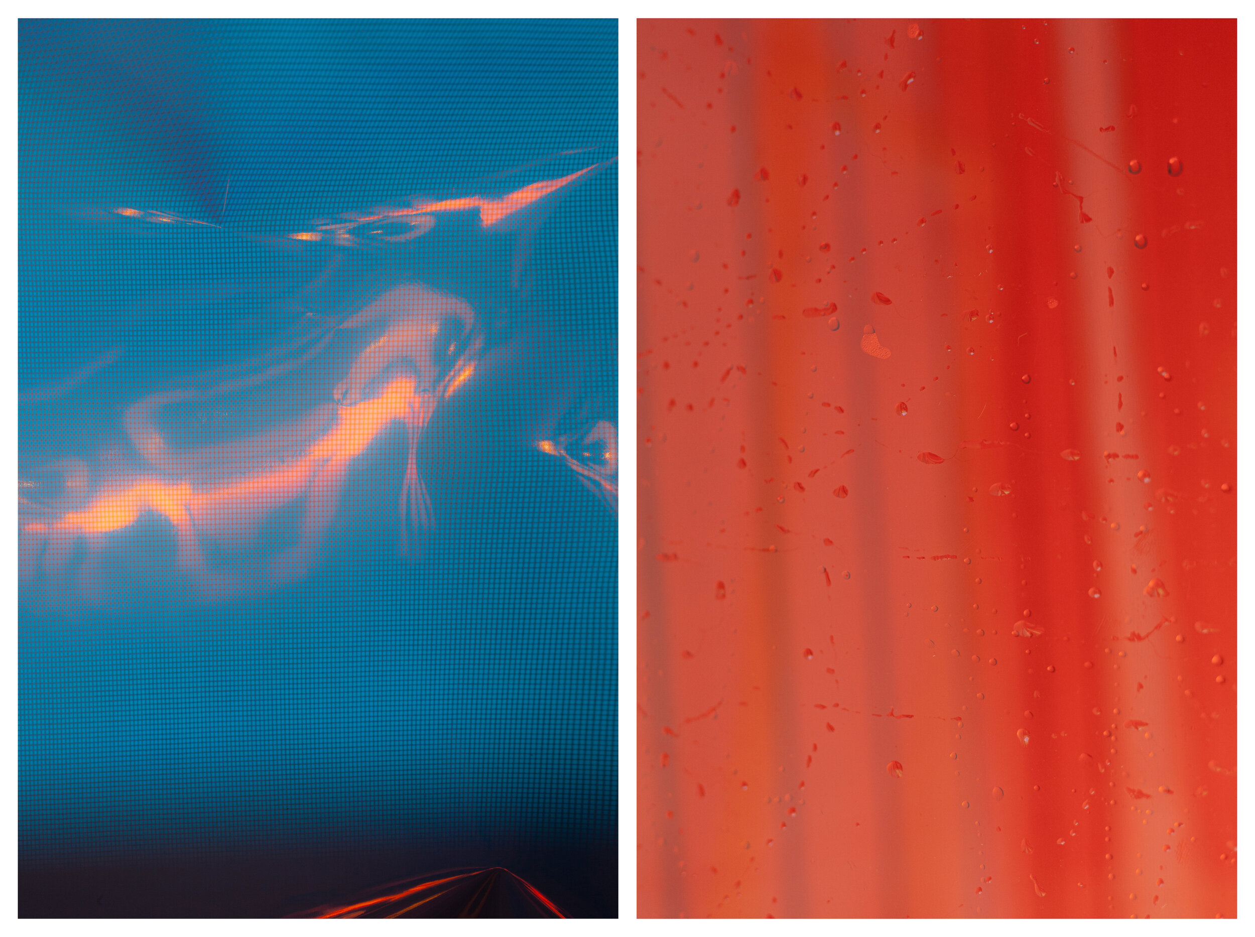 photos — dylan wilde