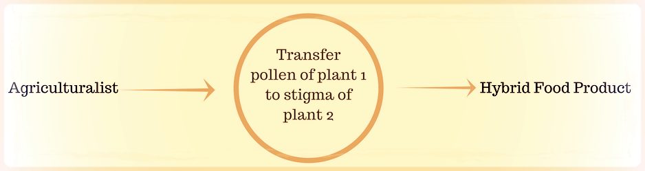 Cross Pollination Gmo