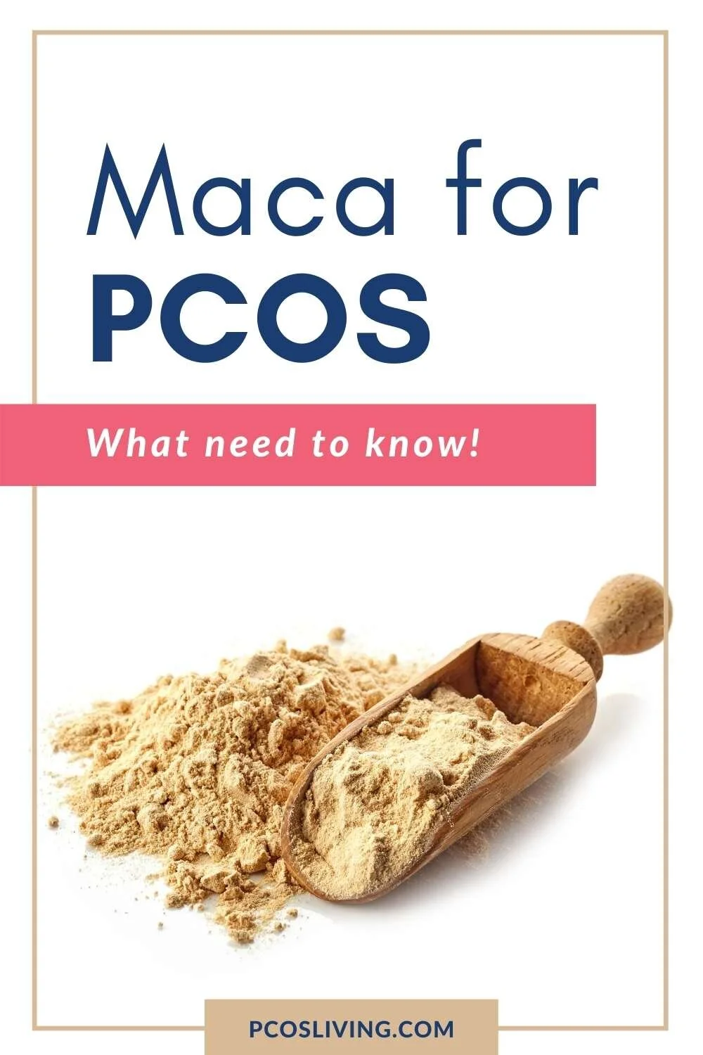 Maca For PCOS