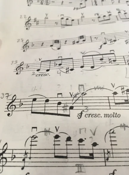 The Orchestra Librarian — Foxtail Books & Library Services