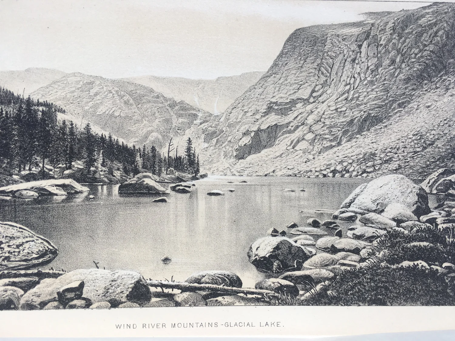 Twelfth Annual Hayden & Moran Survey — Foxtail Books & Library Services