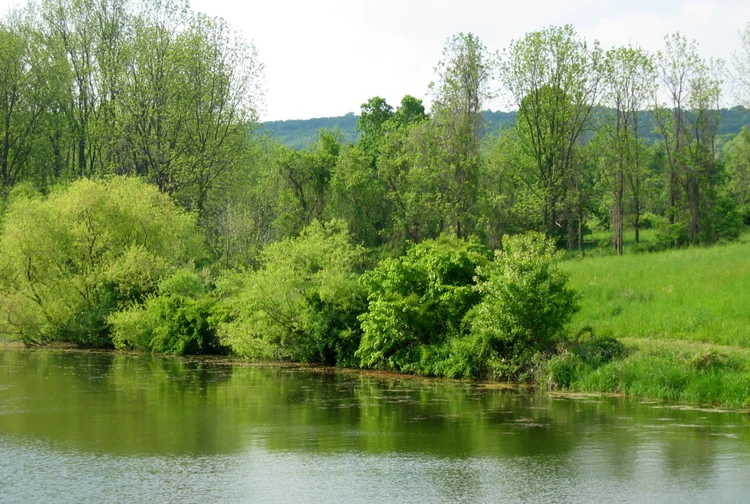 George Lorimer Preserve — olc