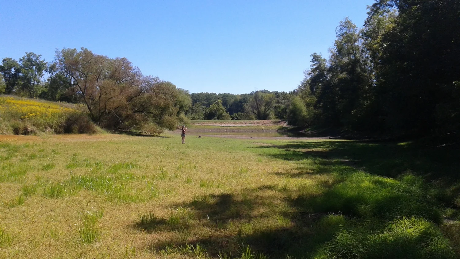 George Lorimer Preserve — olc