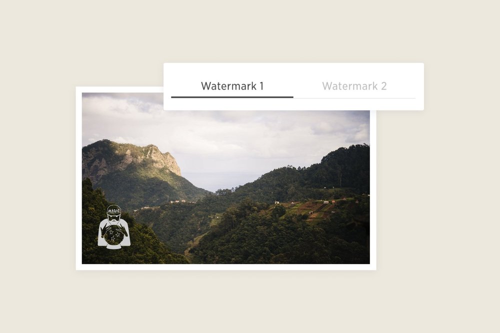 2023 Pic-Time Highlights — Pic-Time Blog