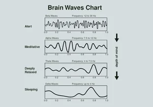 The Neuro Brain — Neurofeedback Melbourne — Our Brainwaves Affect our ...