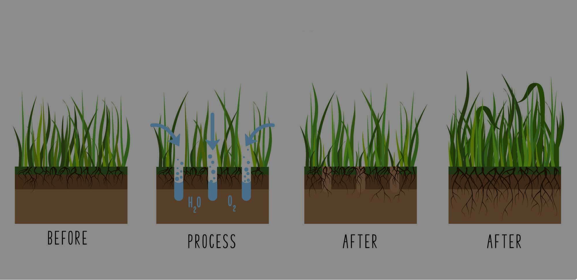 The Importance of Aerating Your Lawn — Residential Lawn Care Reno ...