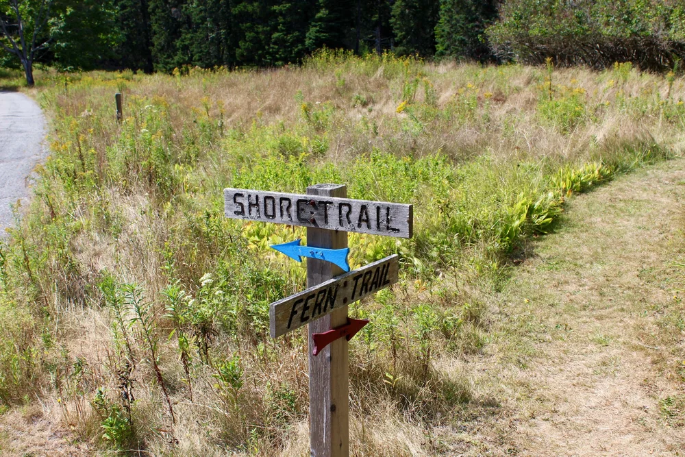 A Closer Look at the West Side of the “Claw” — See Simple Love