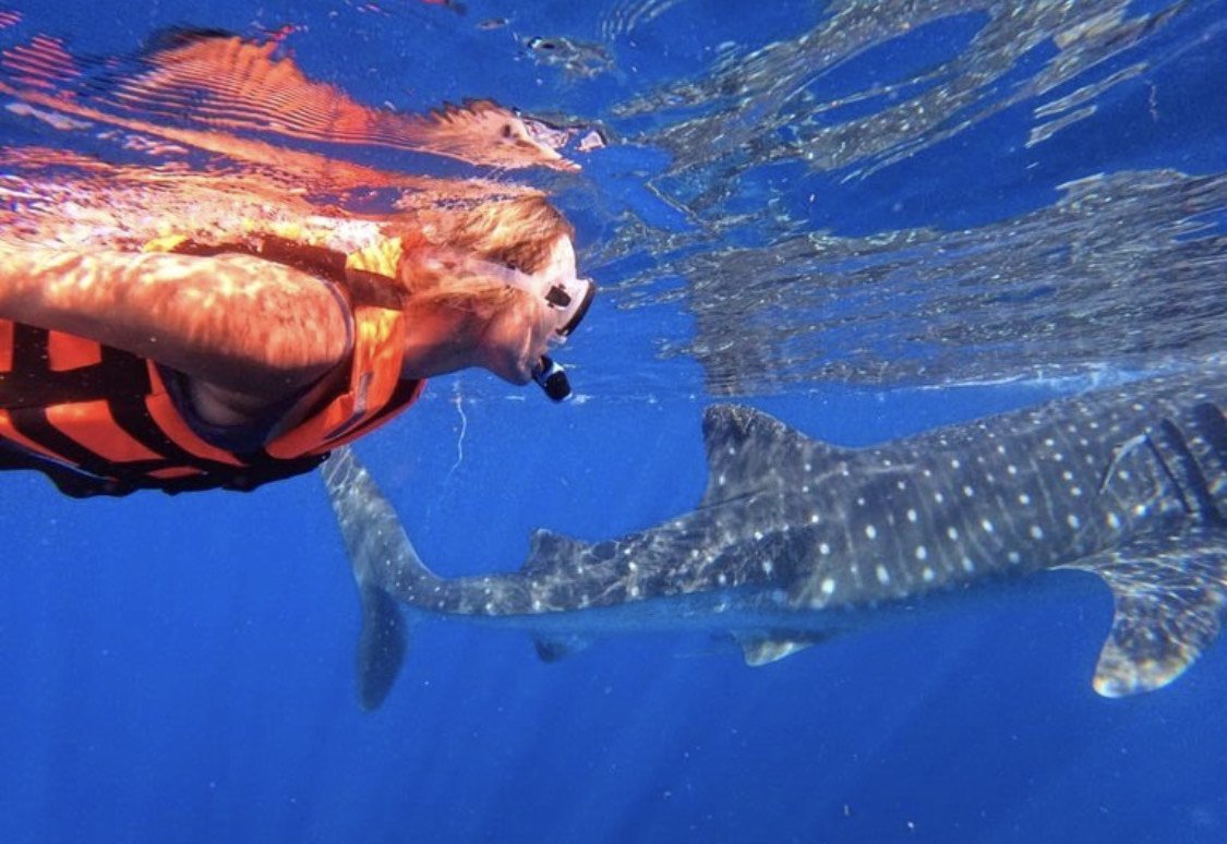 About — Liz Palisin