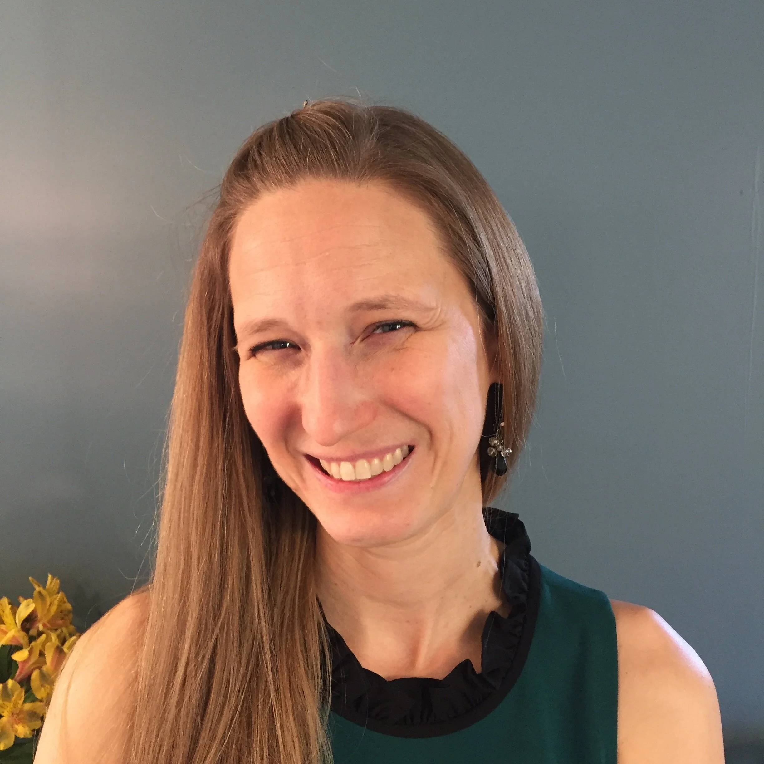 Storylines Team — Next Generation Science Storylines