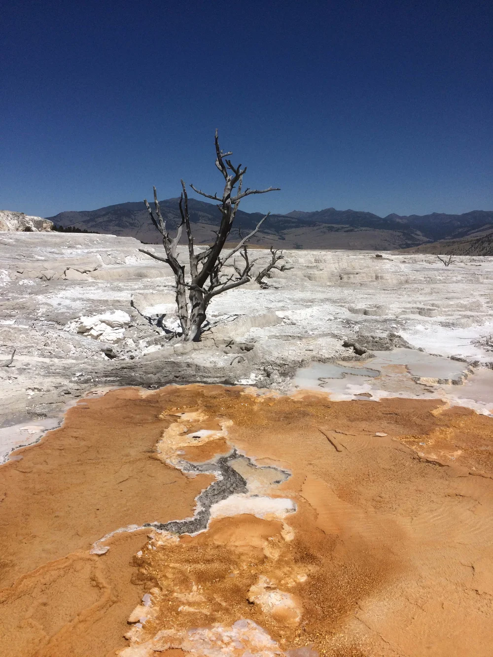 Yellowstone — Parks & Points