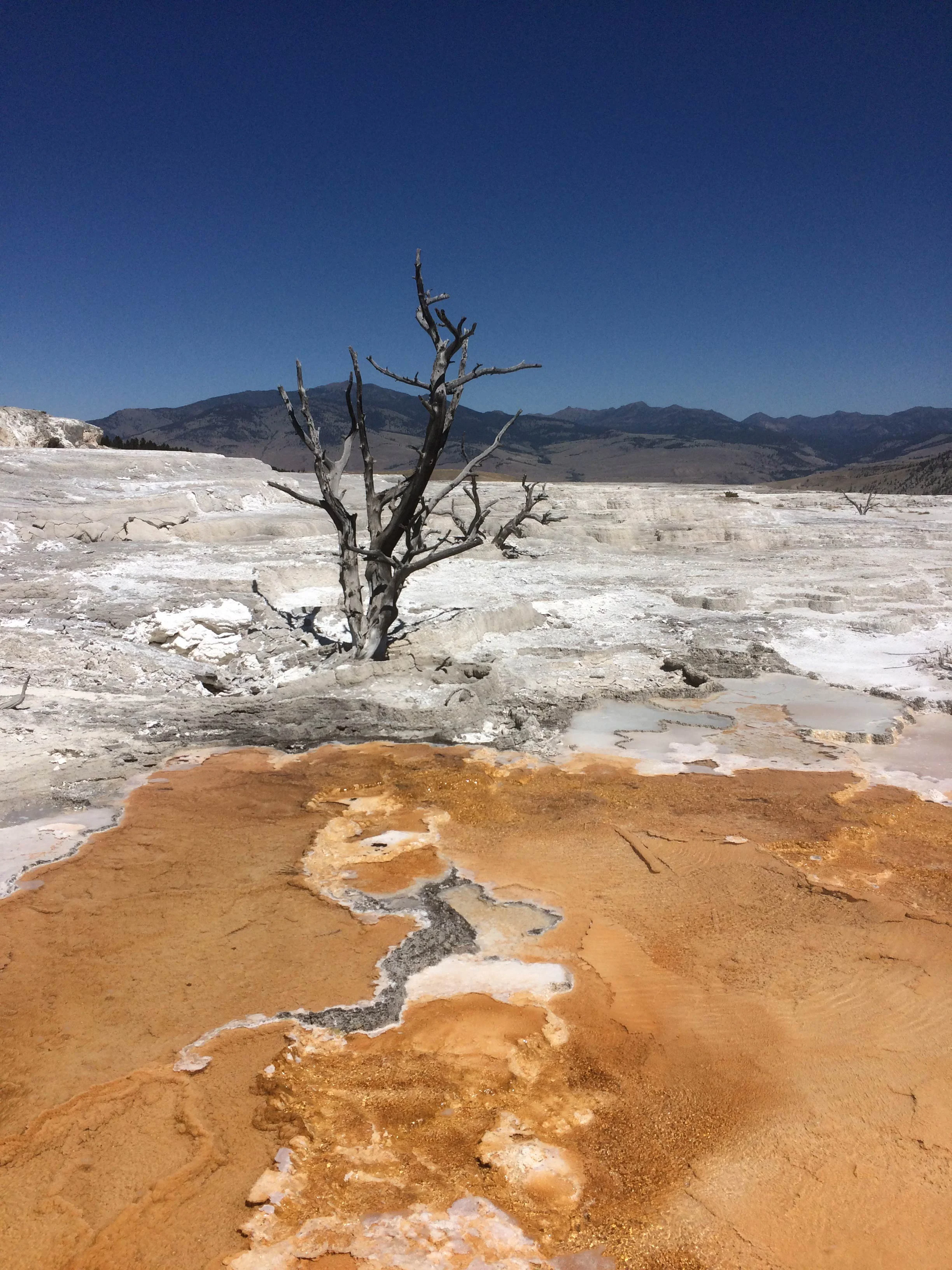 Yellowstone — Parks & Points
