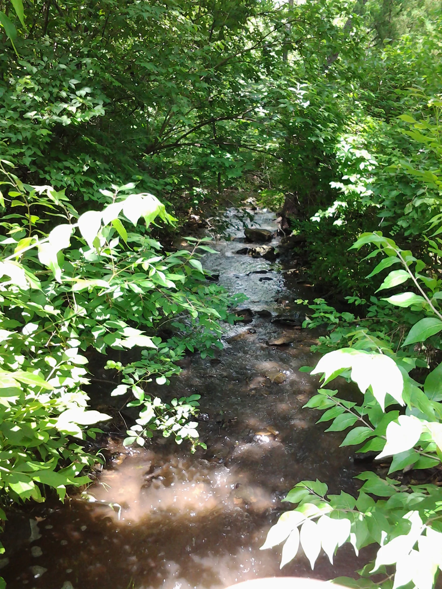 Spotlight on the Eastern Kansas Prairie — Parks & Points