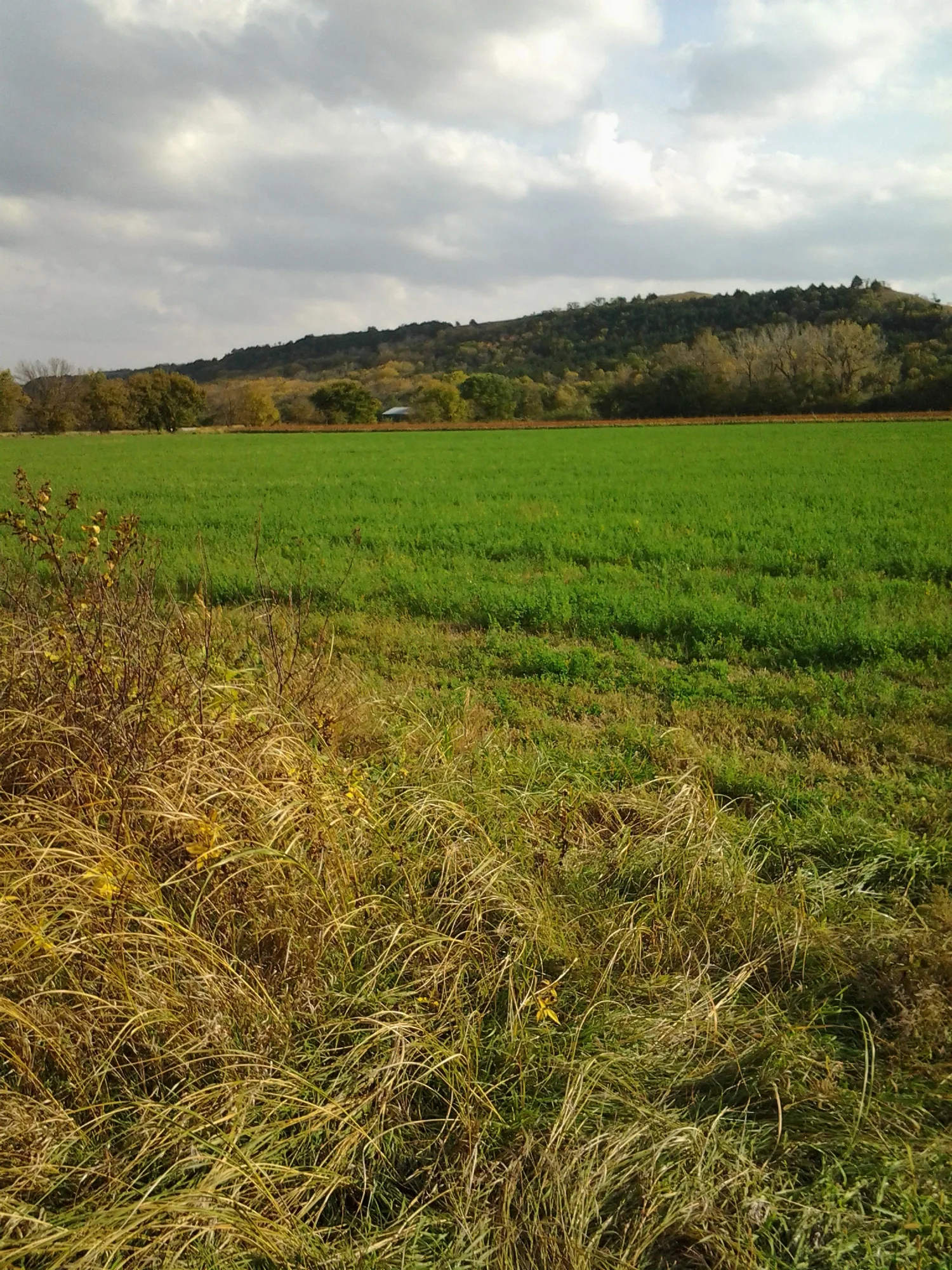 Spotlight on the Eastern Kansas Prairie — Parks & Points
