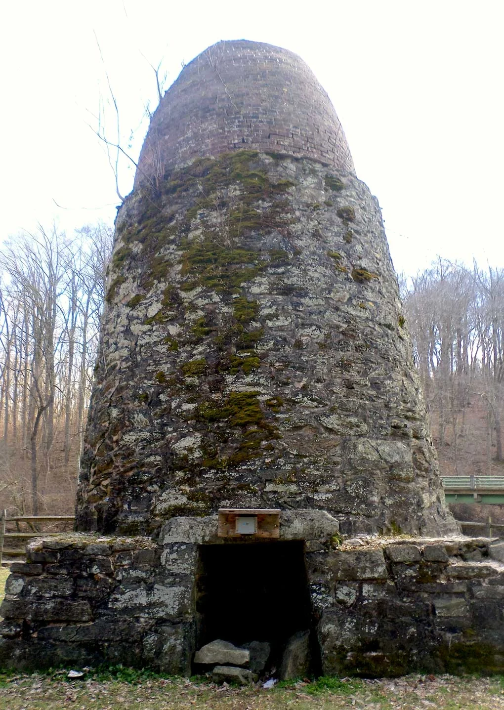 The Bald Eagles of Conowingo Hydro Station — Parks & Points