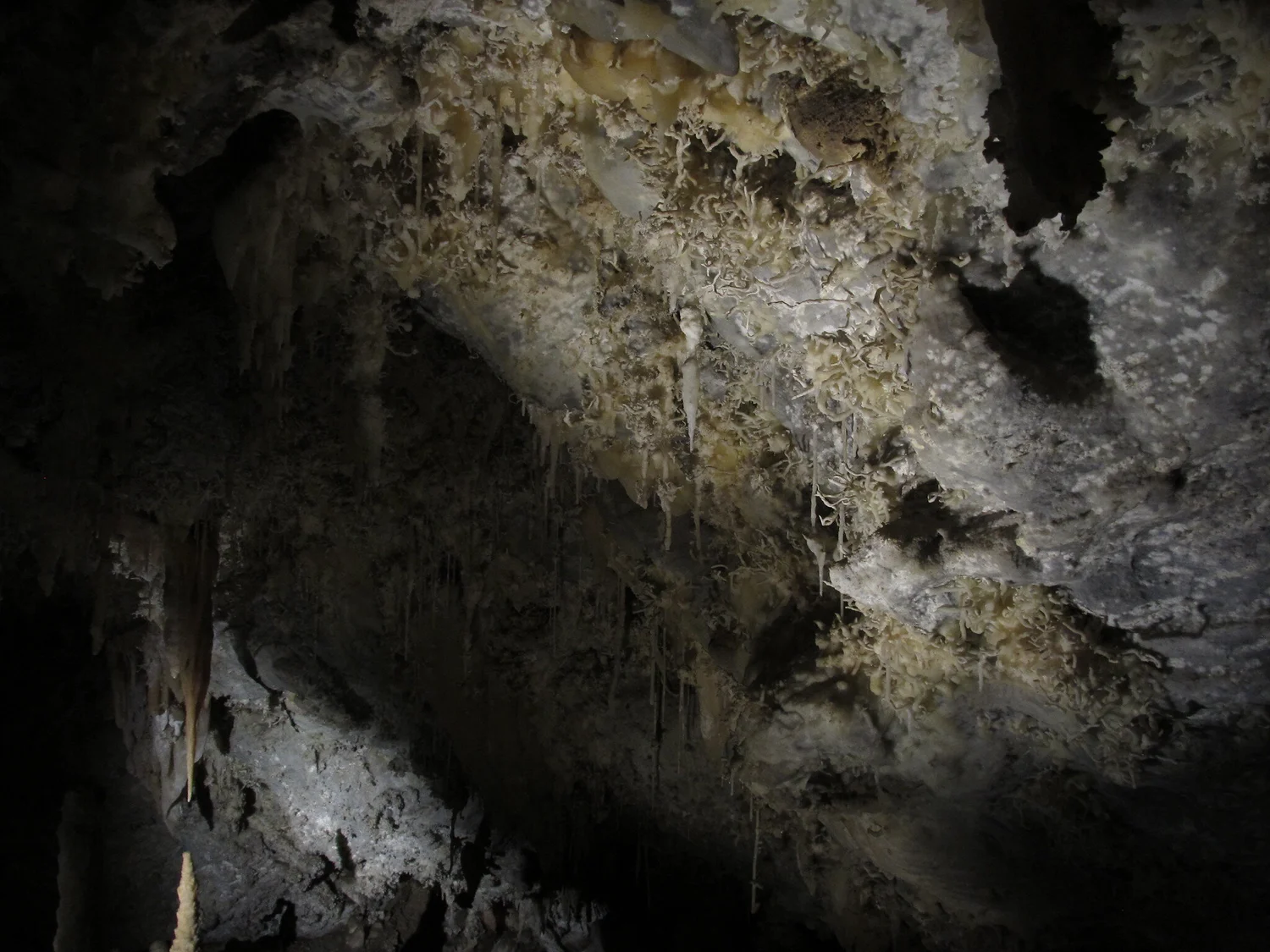 8 National Parks and Monuments For Cave Lovers — Parks & Points