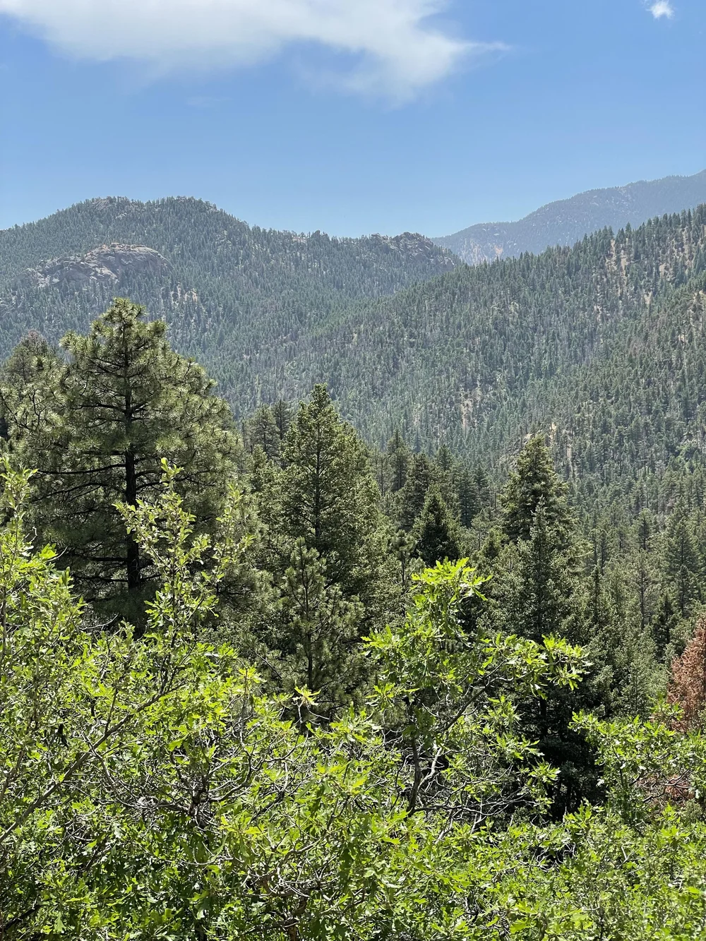 Vacation on the Rocks: 15 Outdoor Adventures in Colorado Springs ...