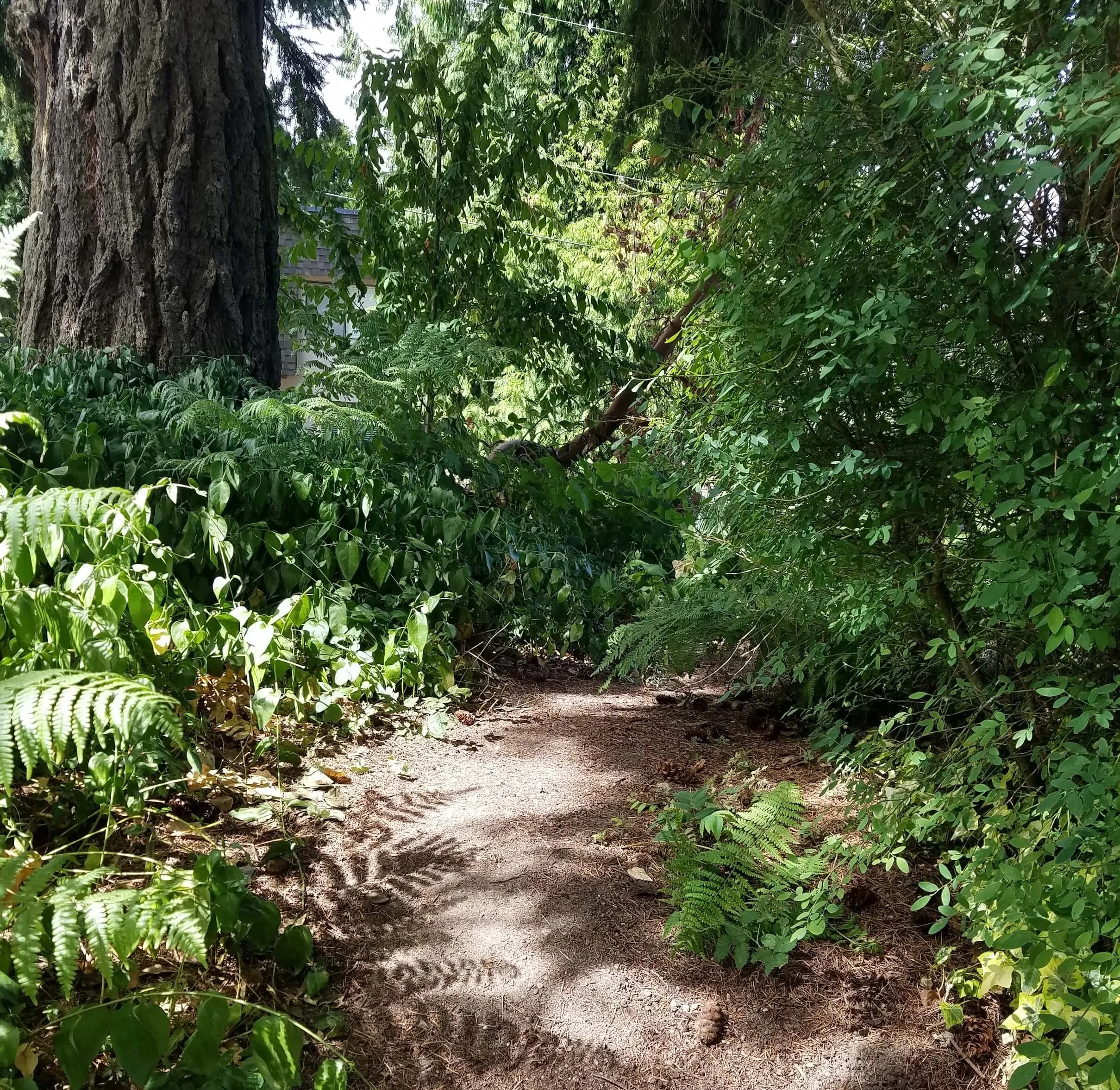 Poetry 2023 — Parks & Points