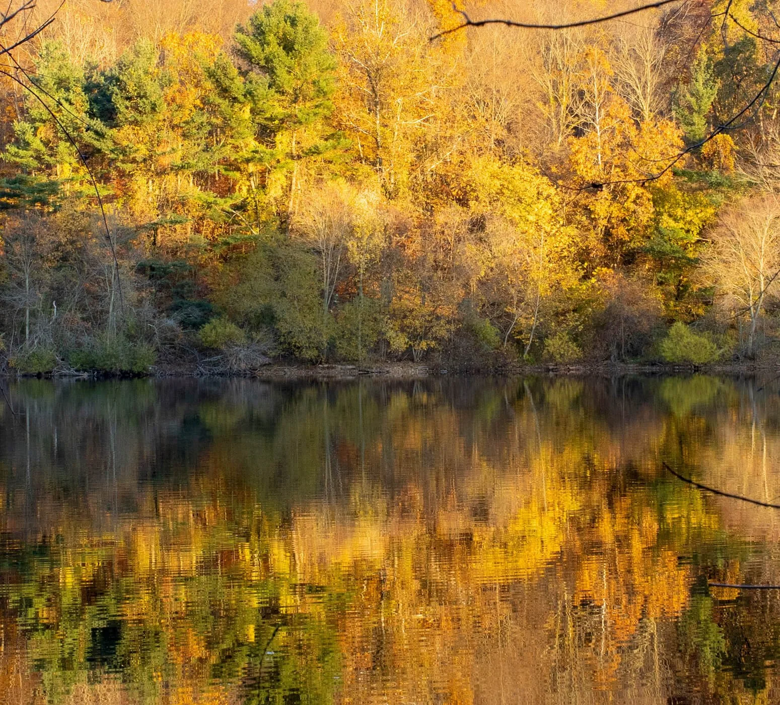 October at the Pond by Sheryl Guterl — Parks & Points