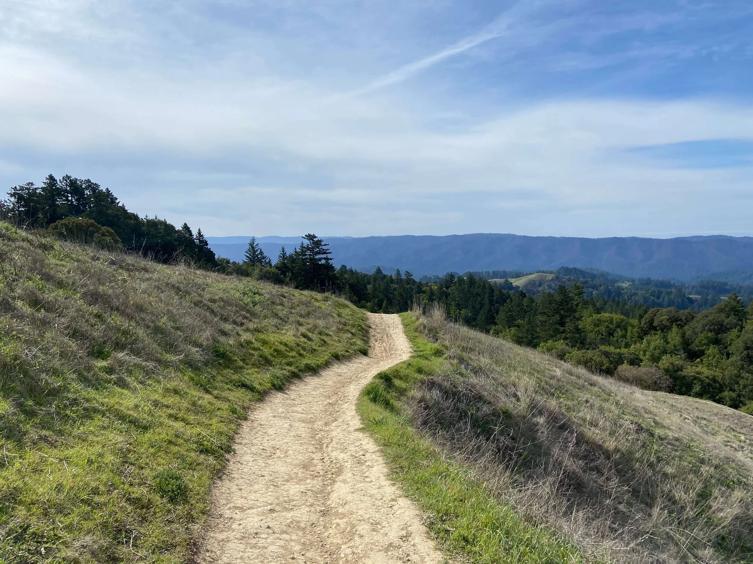 Family Hike with Teenage Son and Cooper Hawk — Parks & Points