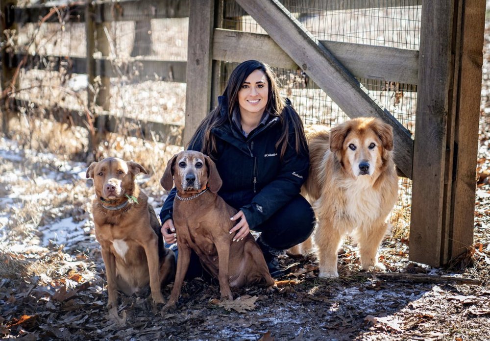 Why Are Dogs Beneficial To Humans