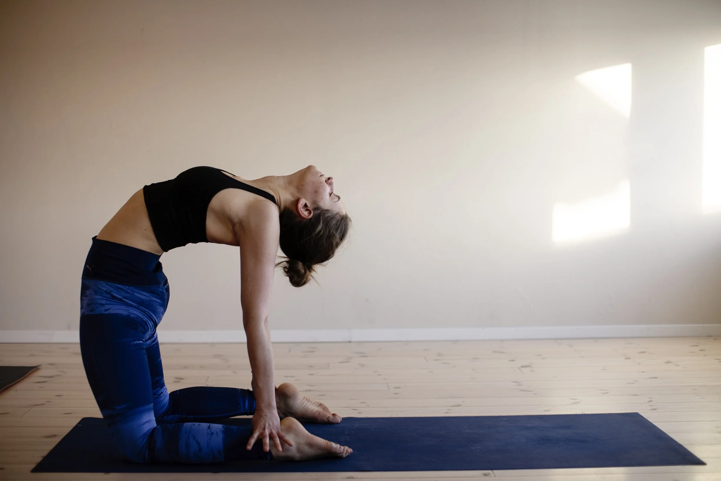 Nøsen Yoga og Fjellhotell