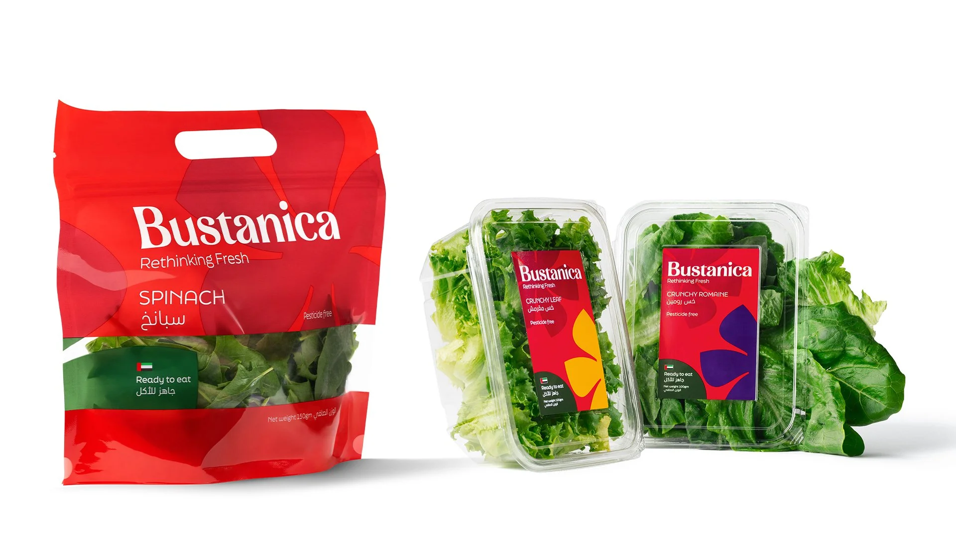 KNOW CREATIVE — ABOUT