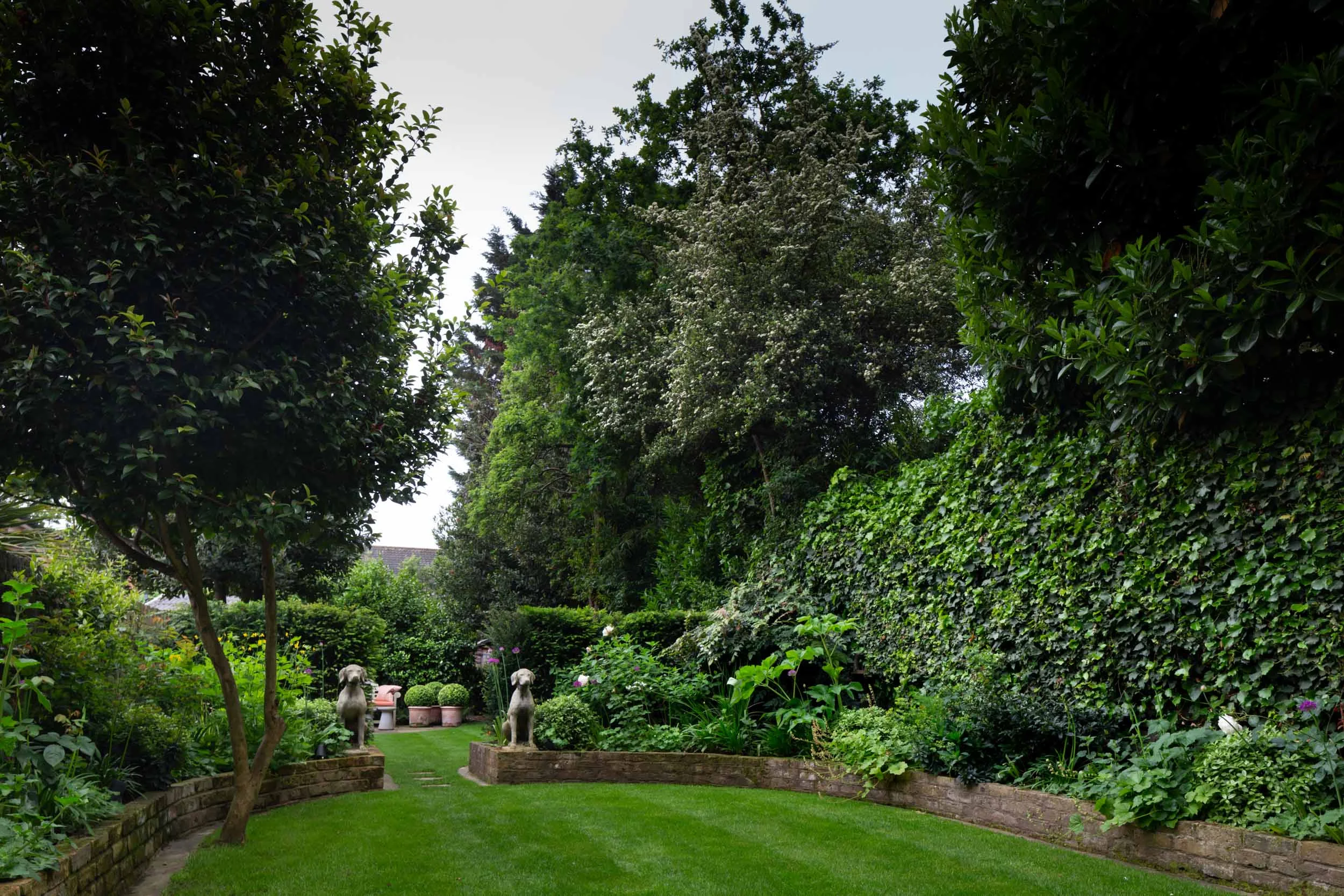 Larkhall Rise, Clapham Old Town — Butter Wakefield Garden Design Ltd