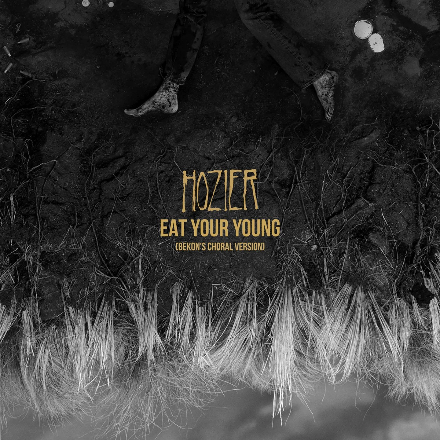 Hozier releases 'Eat Your Young (Bekon's Choral Version)' — Rubyworks