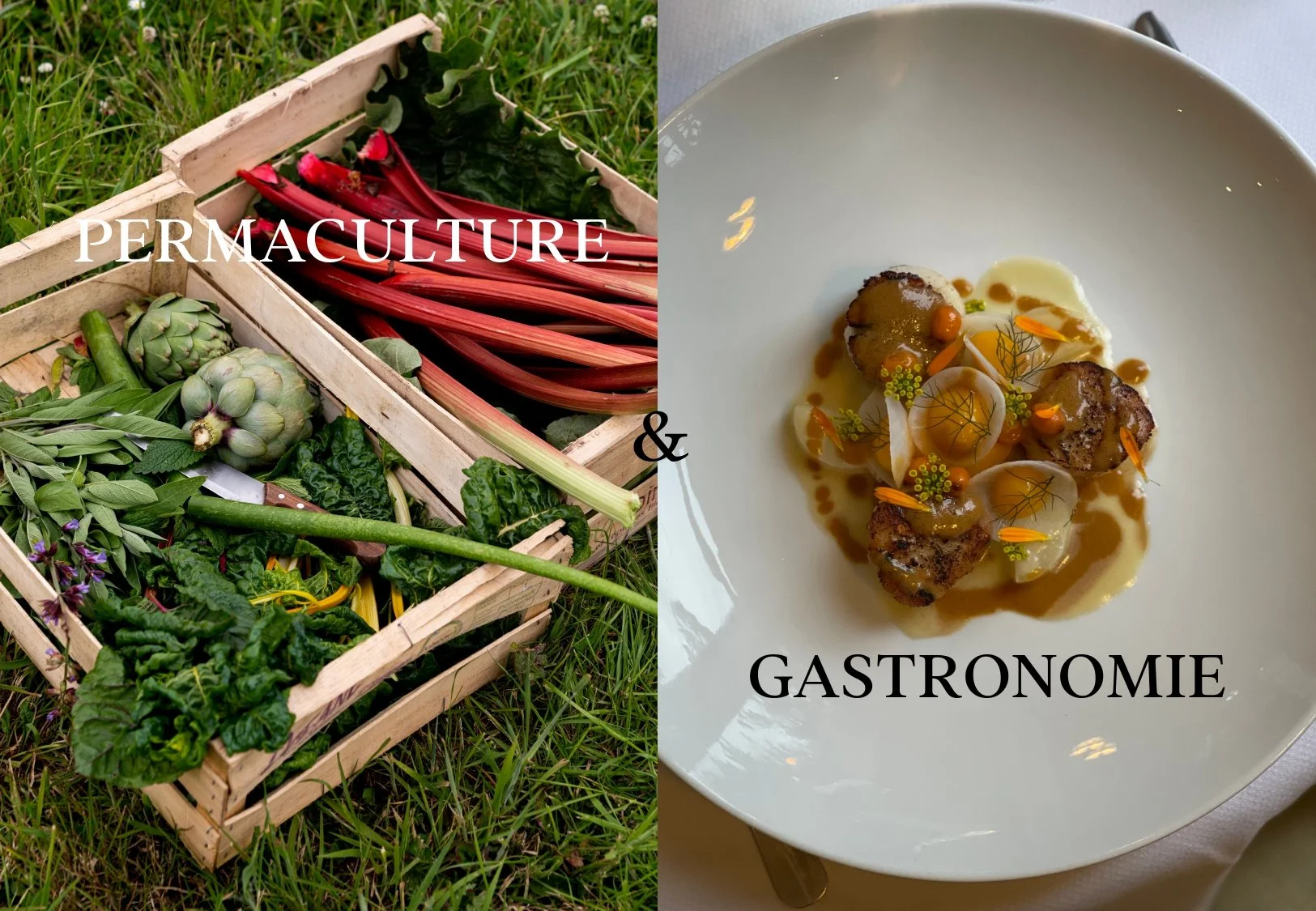 Le Botaniste - Restaurant