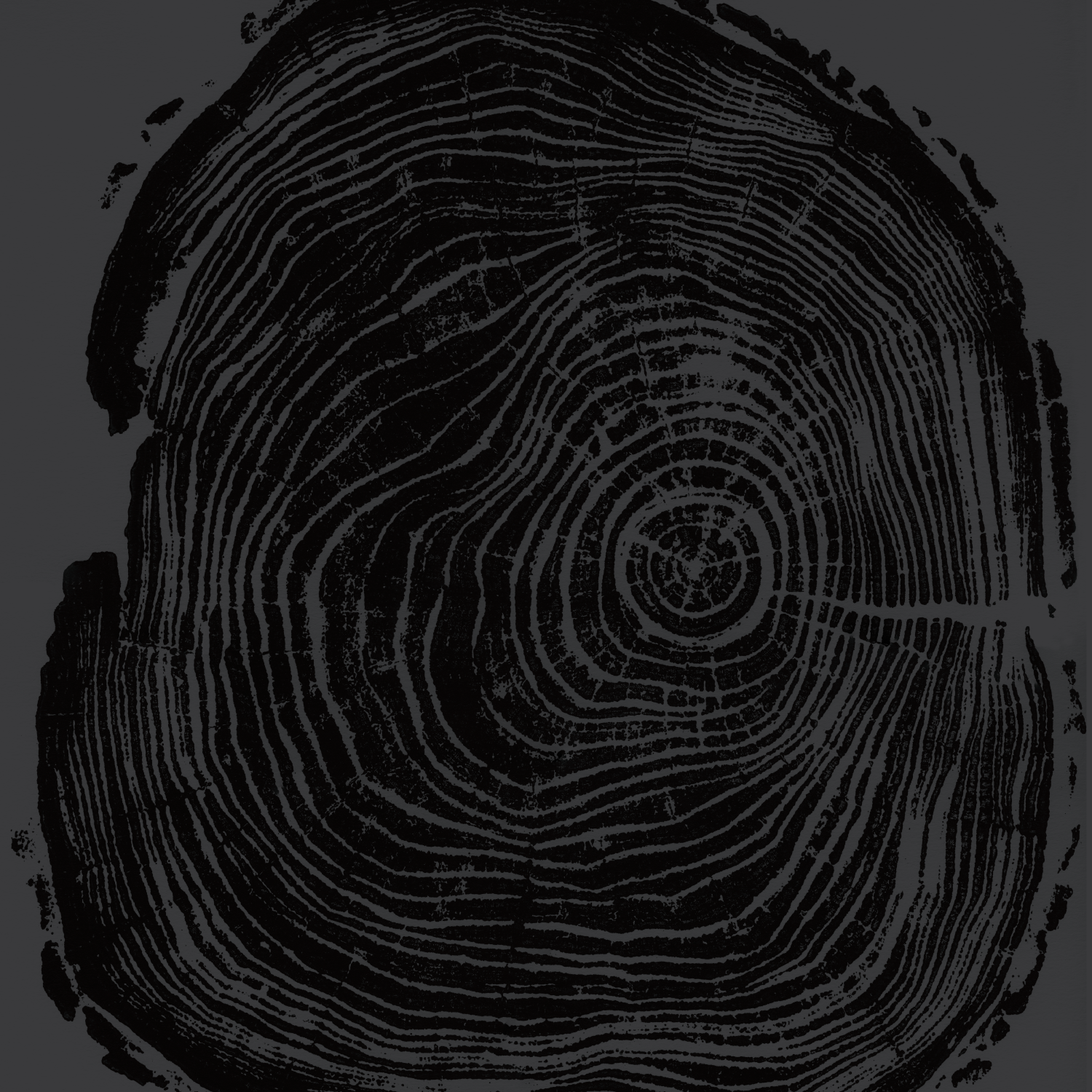 Gallery — Red Ash Italia