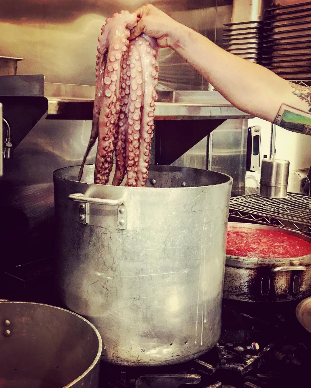 Gallery — Red Ash Italia